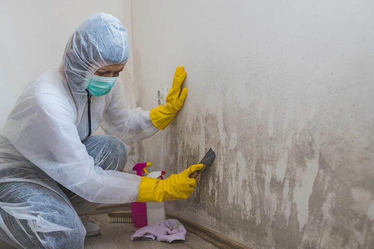 Common Signs and Symptoms of Mold Contamination in Homes and Buildings ...
